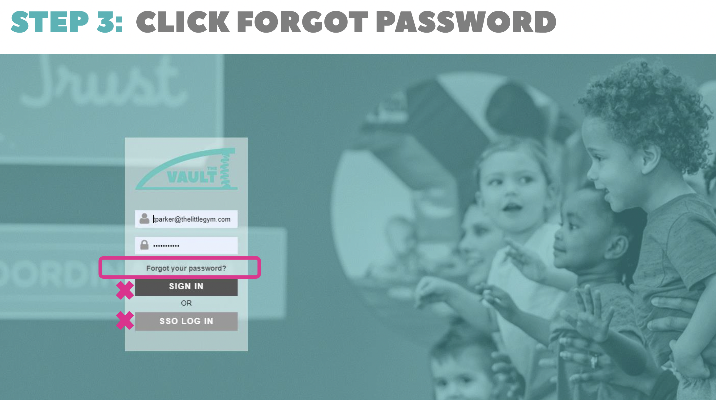 Vault User Login – The Little Gym